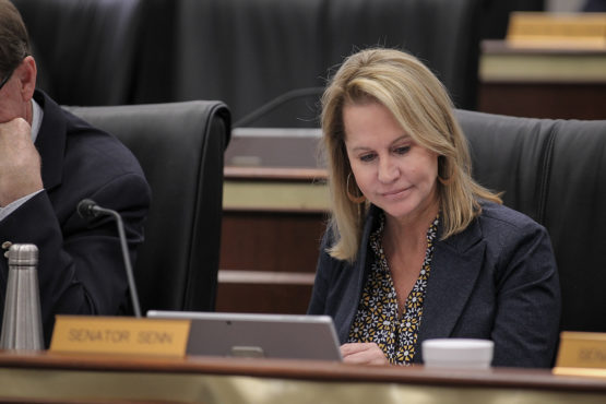 Sandy Senn Apologizes For Sending Campaign Email From State House