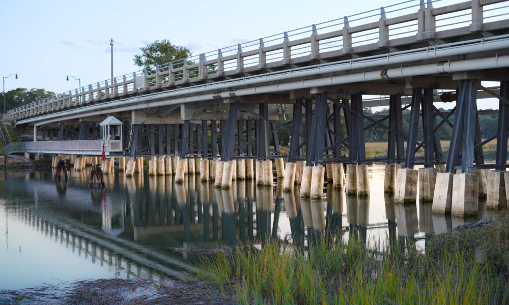 SC alligator attack: Friend warned woman before deadly attack