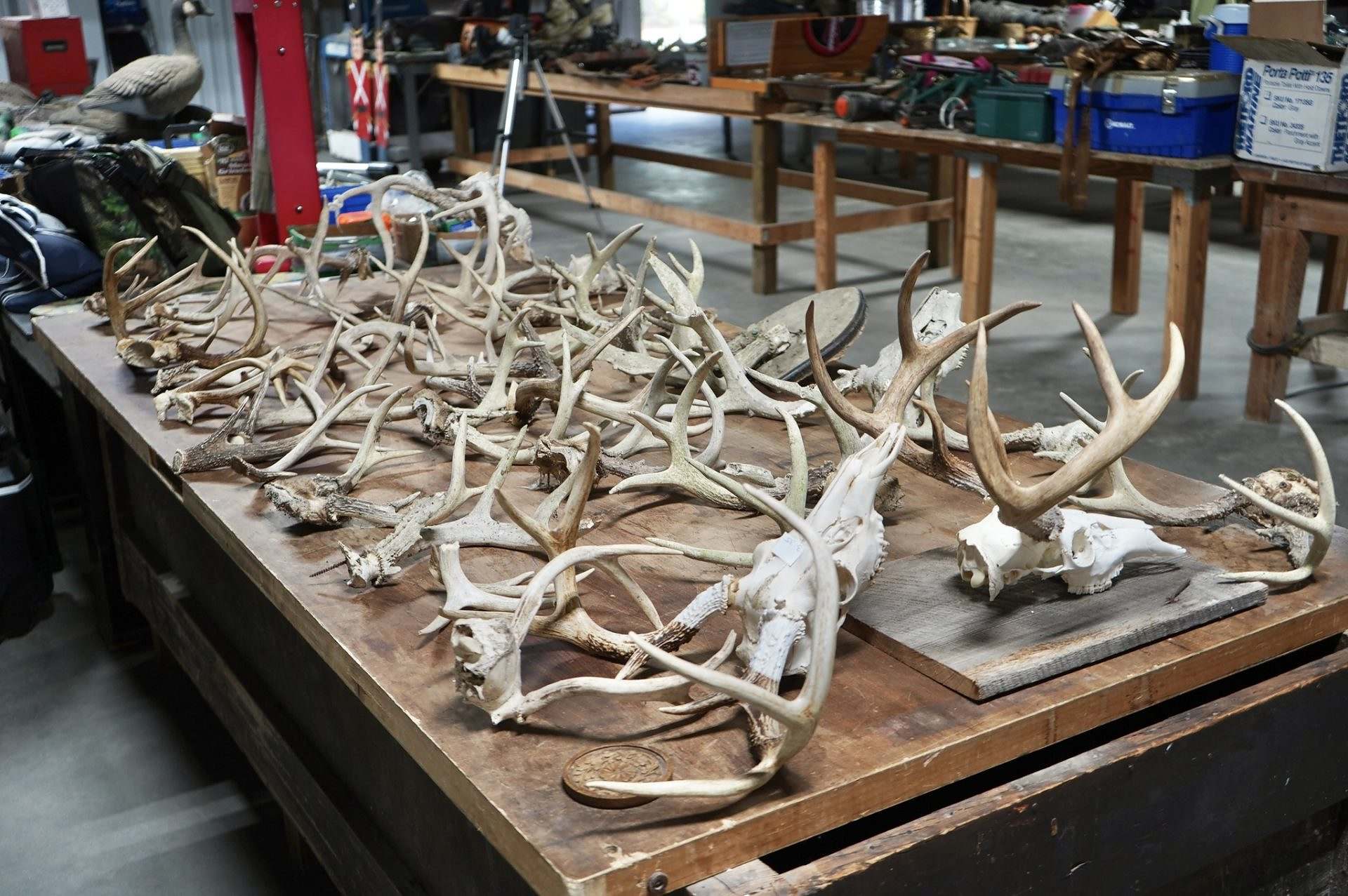 Murdaugh Estate Auction: Everything Must Go - FITSNews