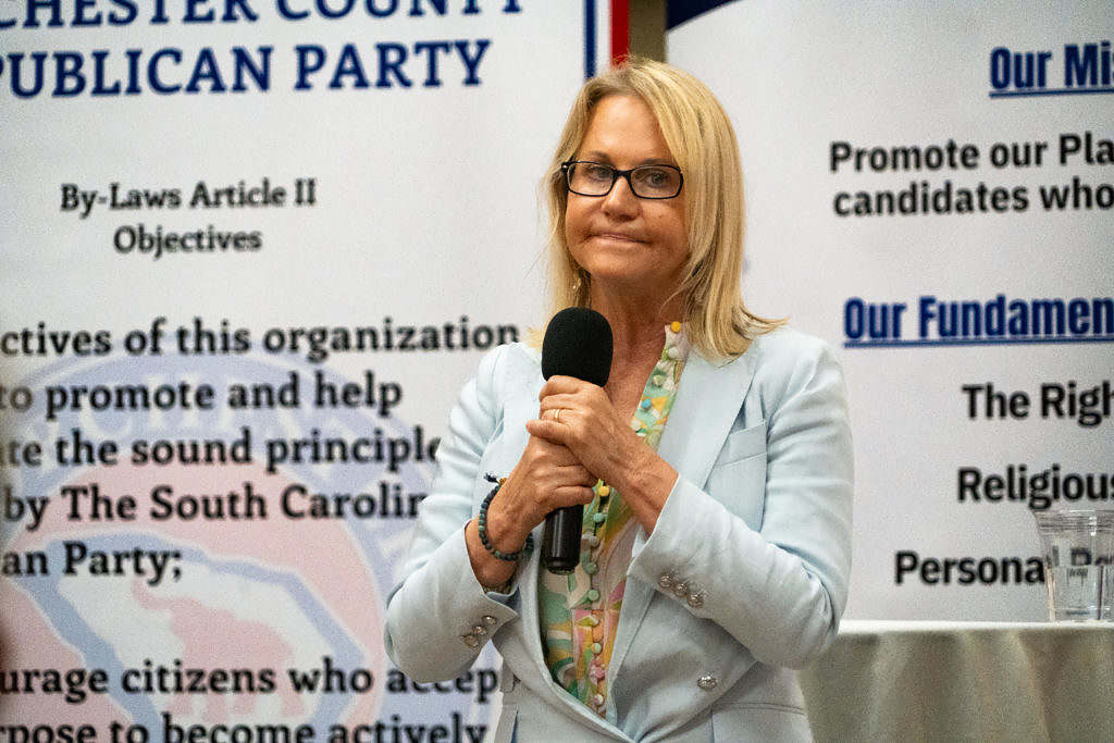 Lowcountry SC Senate Primary: GOP Senator's Democratic Donations ...