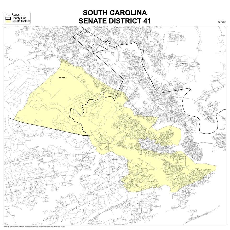 Lowcountry SC Senate Primary: GOP Senator's Democratic Donations ...