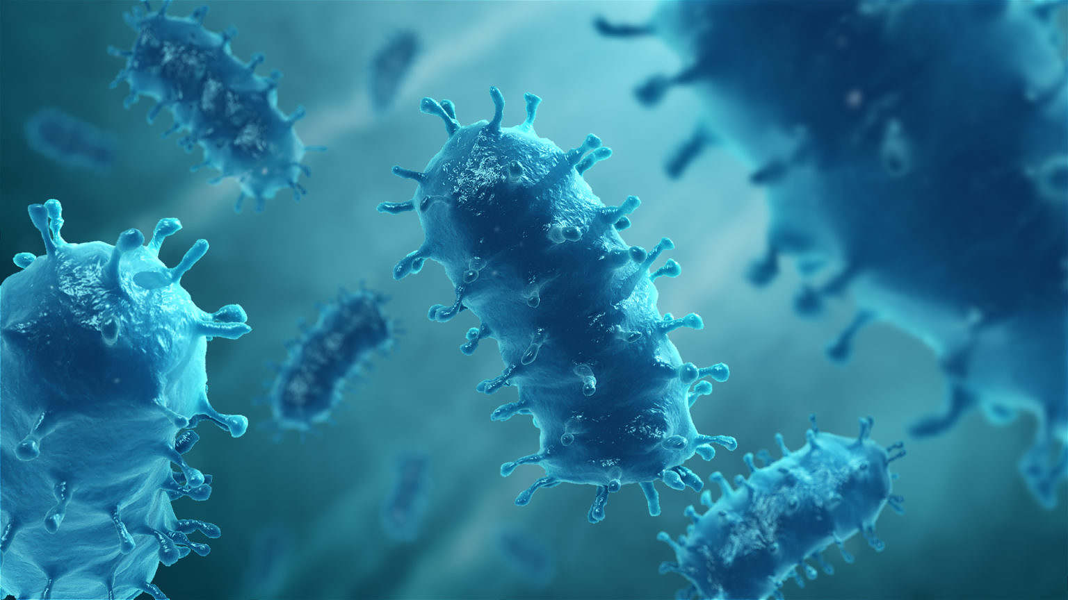 Health Watch: Multiple Rabies Cases Reported In South Carolina - FITSNews
