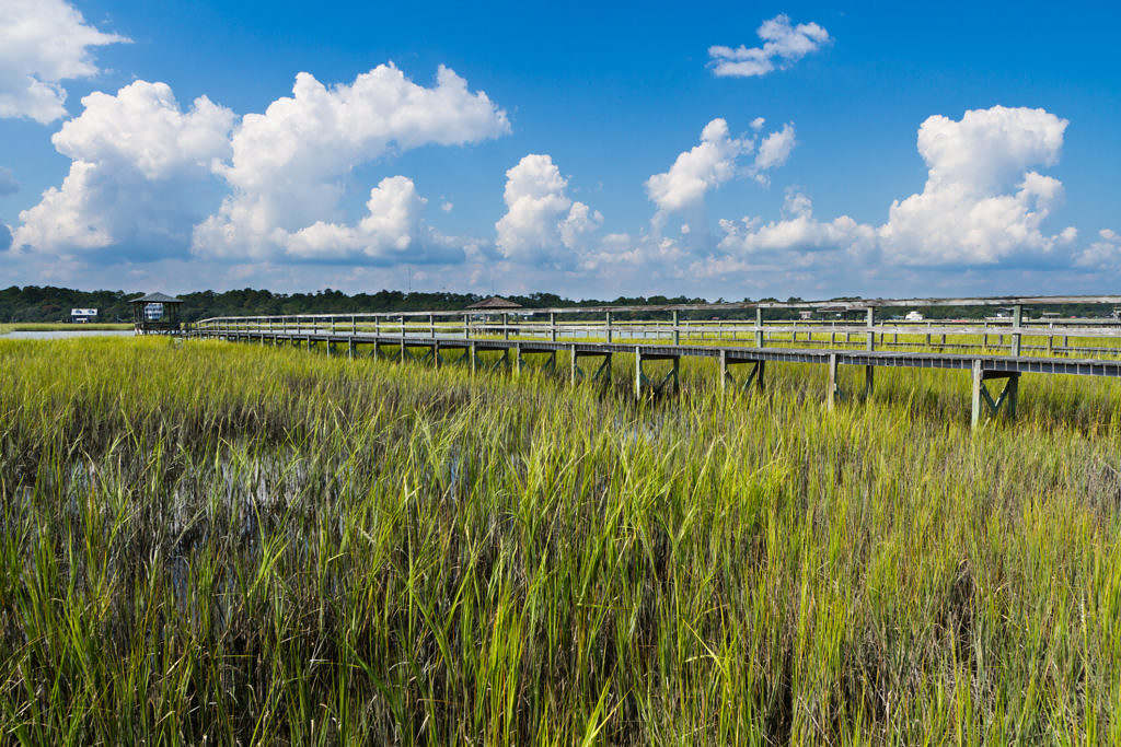 Push for Incorporation Continues in Waccamaw Neck - FITSNews