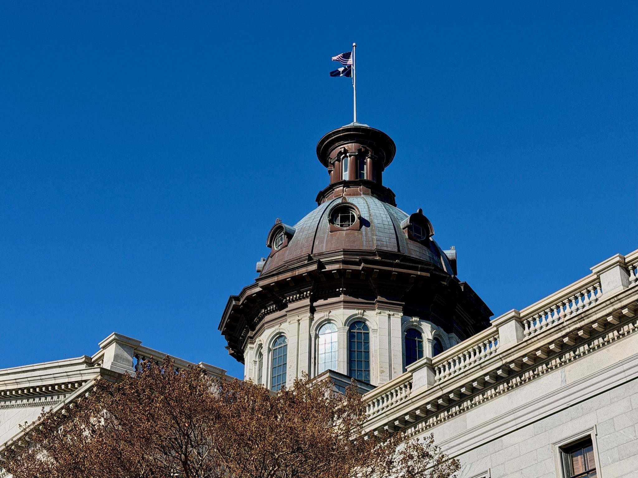 S.C. Senator Declares War on 'Consultant Class' - FITSNews