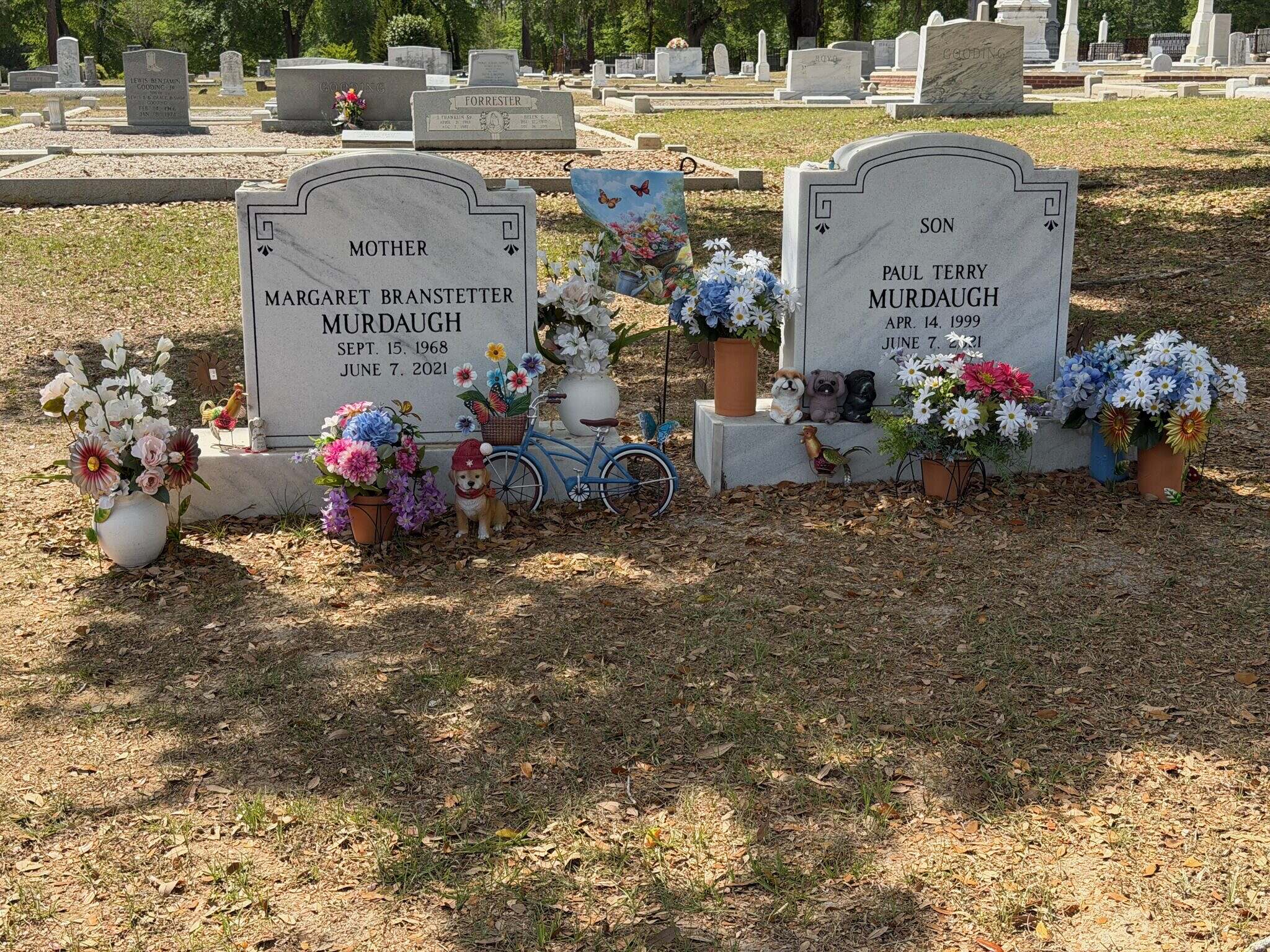 Murdaugh Murders Update: Interview with WSJ Reporter Valerie Bauerlein ...